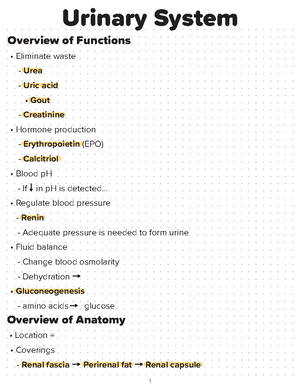 Urinary System Ex 40 Review Sheet - Print Review Sheet: Exercise 40 ...