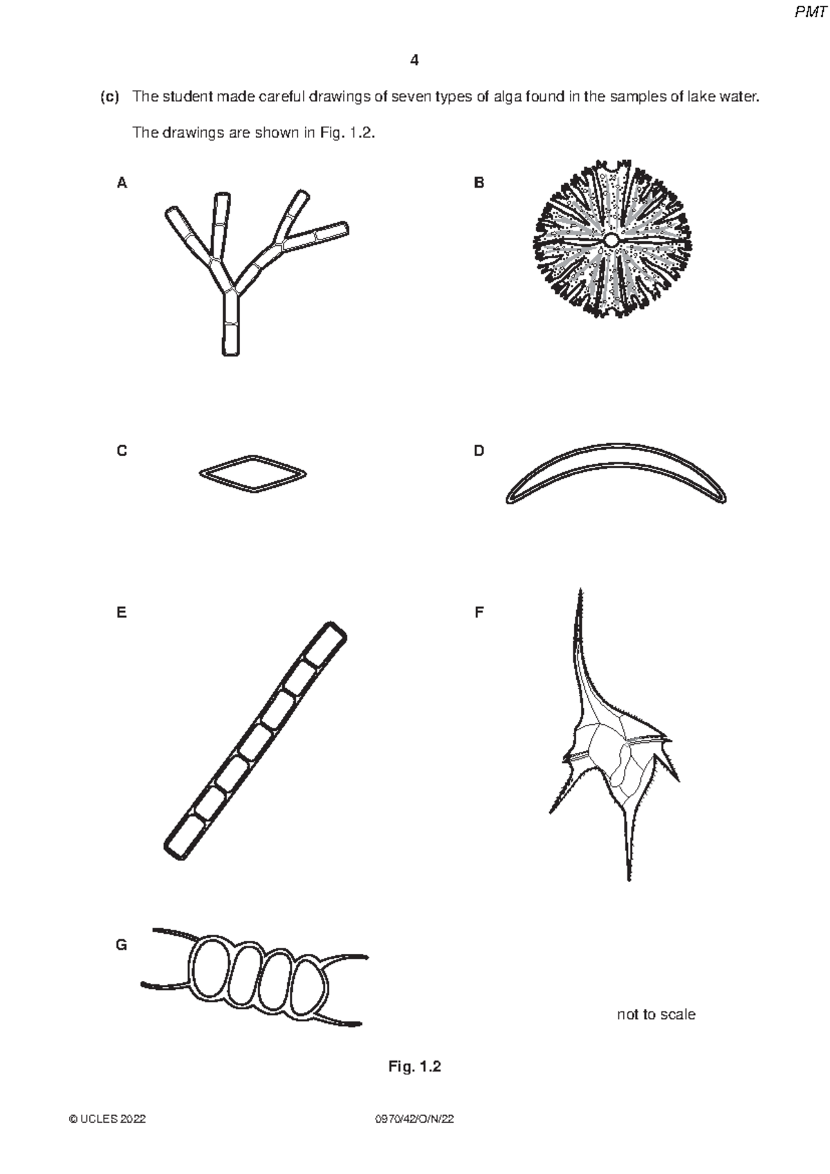 Dichotomous Key: Identifying Algae, Trees & Insects (Biology 0970 ...