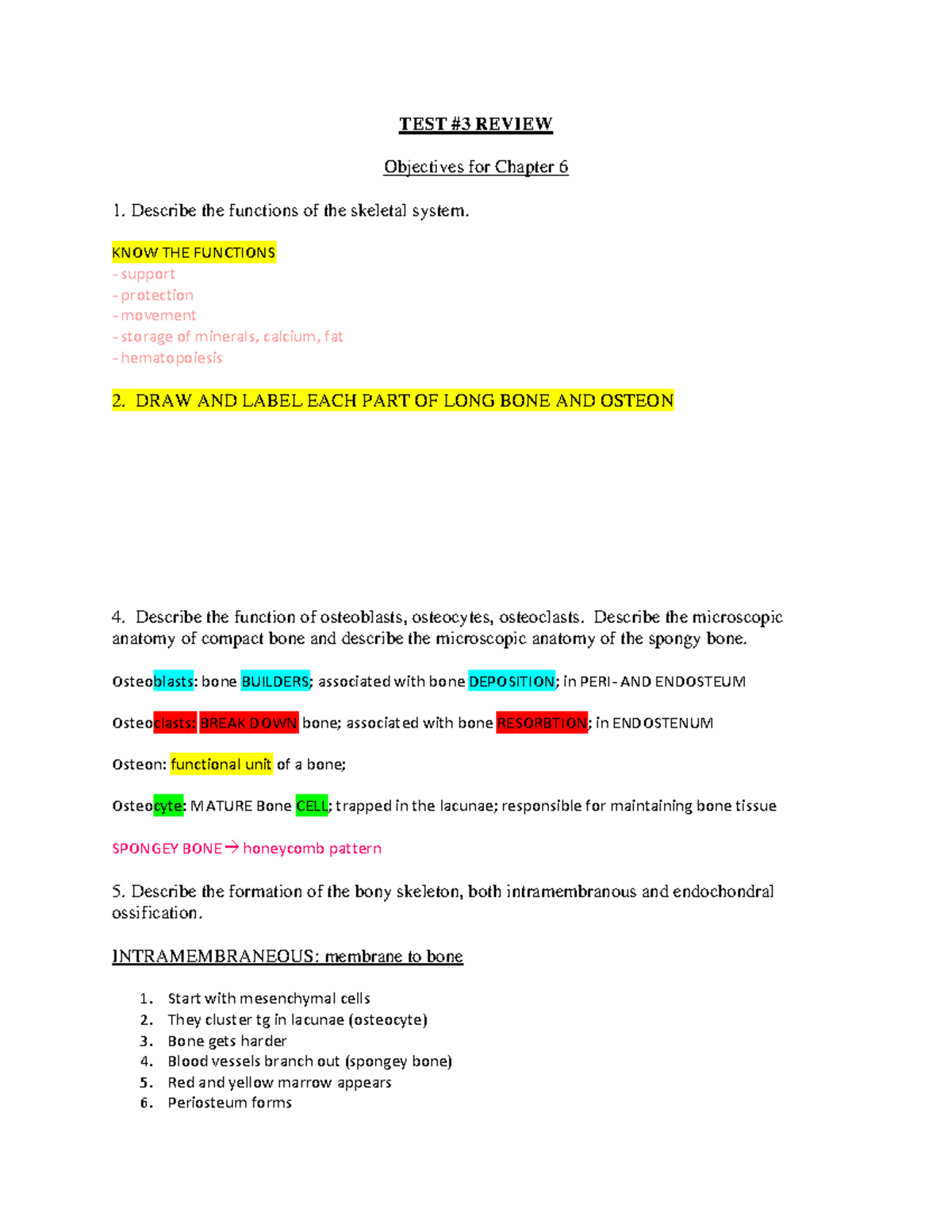 TEST #3 REVIEW: Skeletal System Functions and Anatomy - Studocu