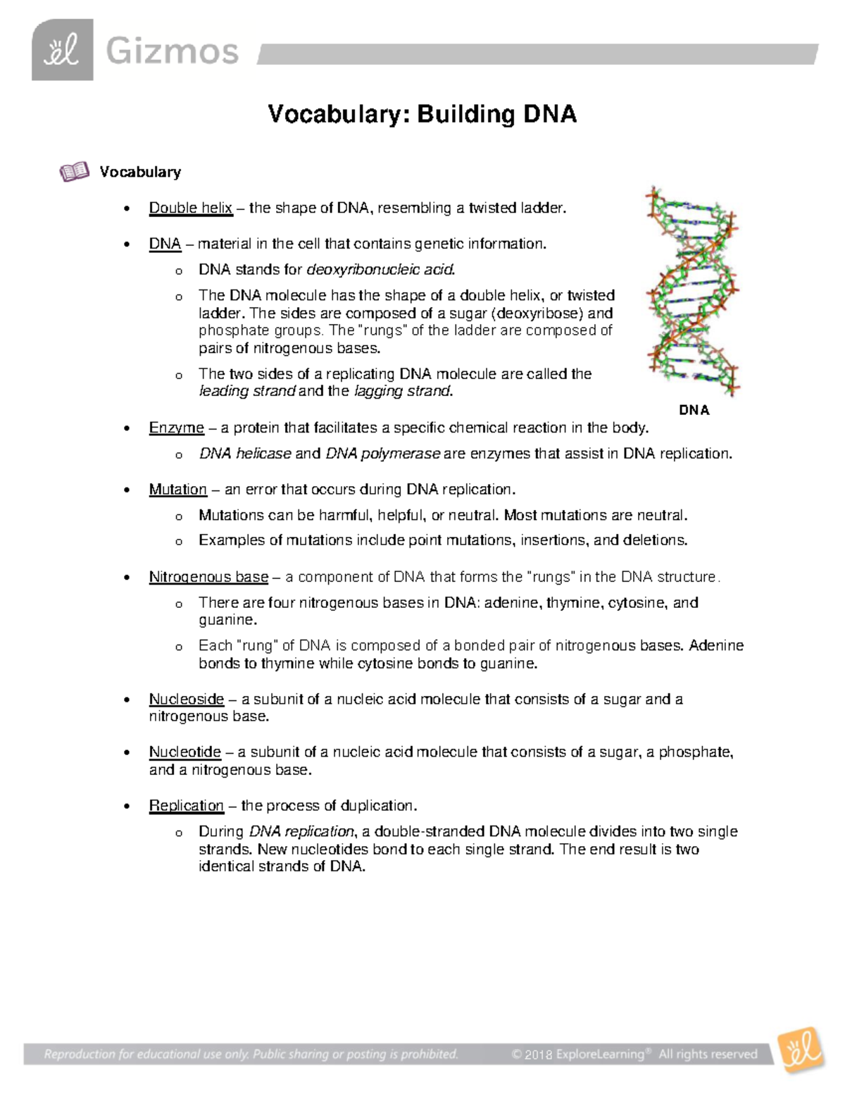 Building DNA Vocabulary Guide (2018) - Gizmo DNAVocab - Studocu