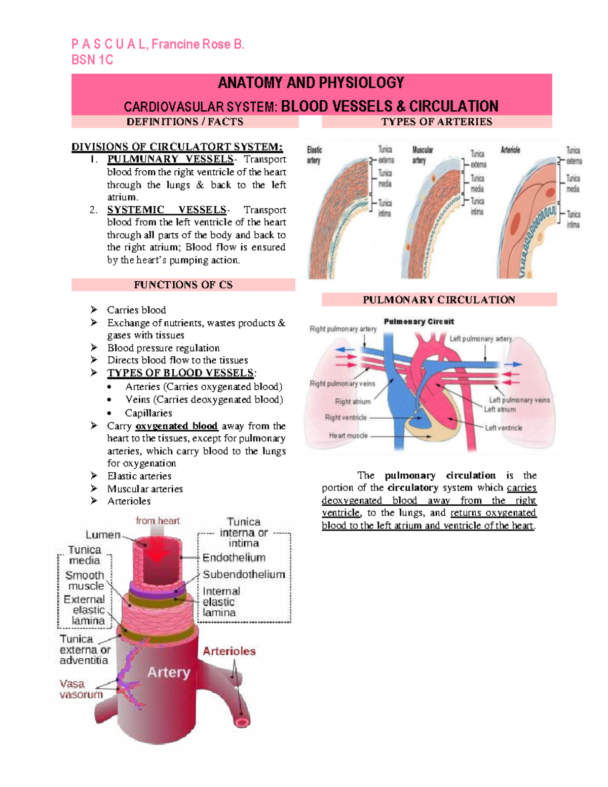 BSN 1C Anatomy & Physiology: Blood Circulation & Vessels Overview - Studocu