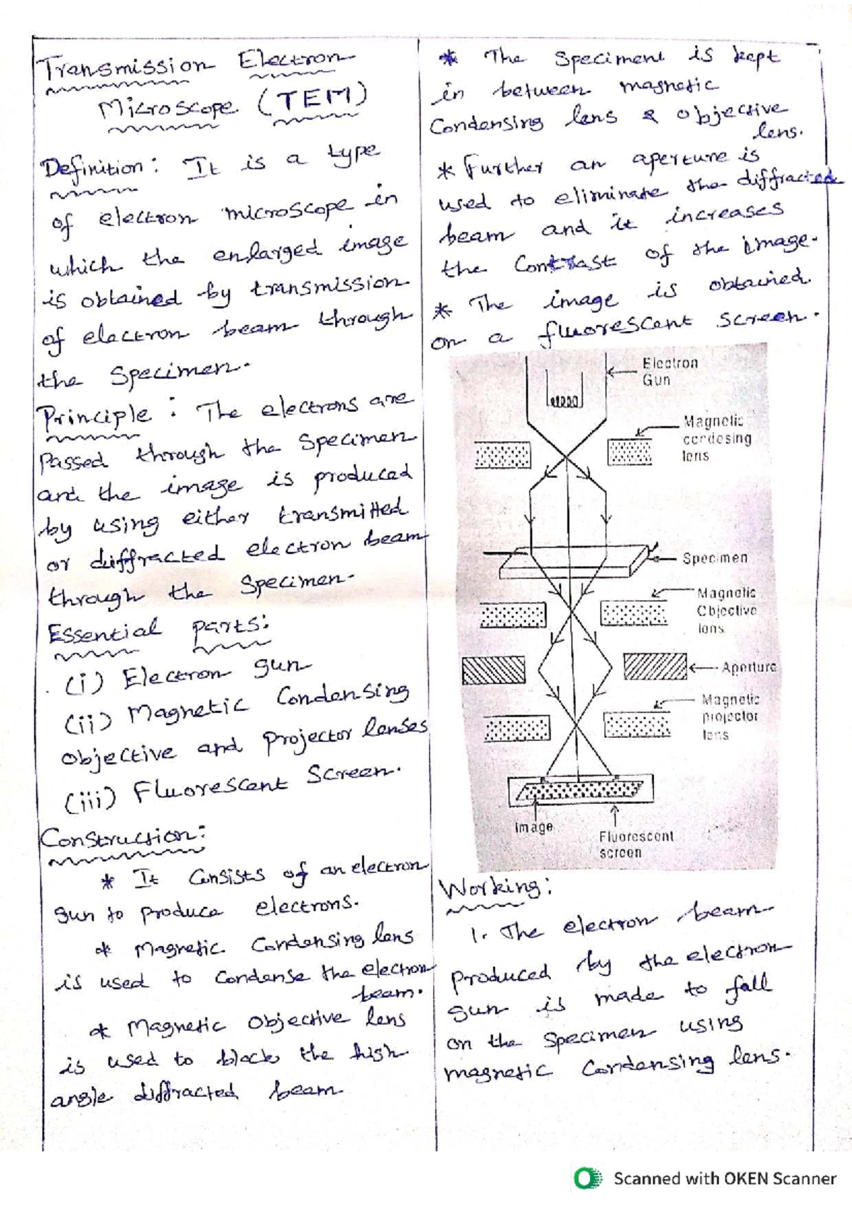 TEM: Understanding Transmission Electron Microscope Principles and ...