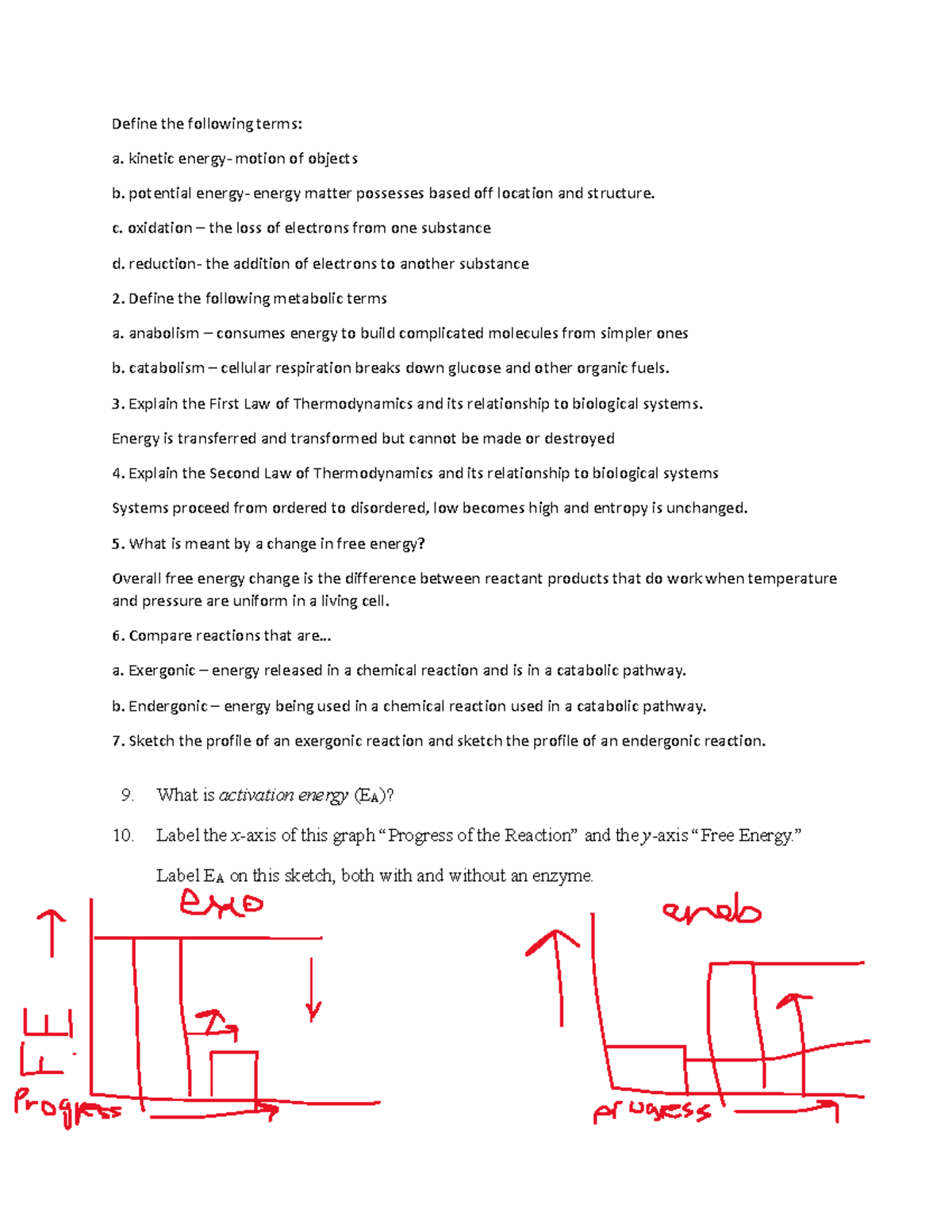 Chapter 8 Study Guide Questions on Energy & Metabolism Concepts - Studocu