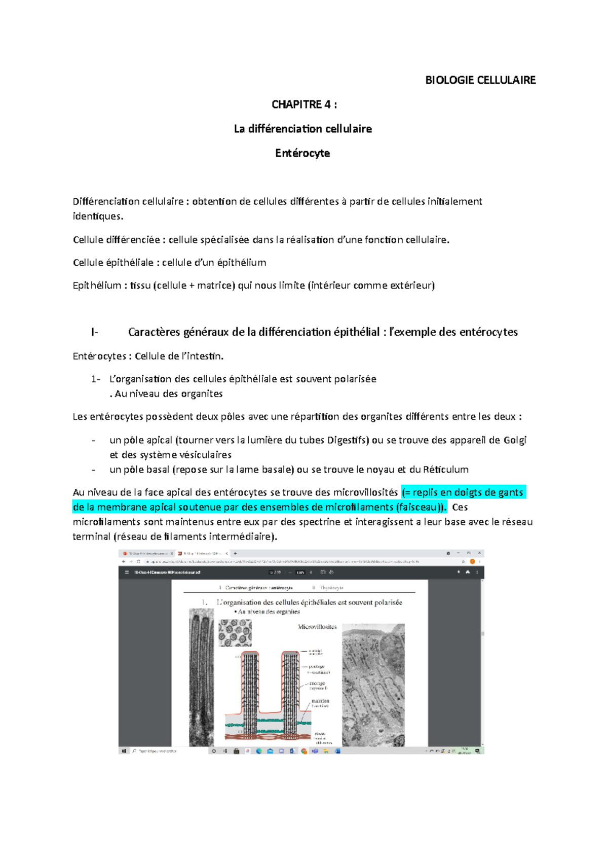 Biologie Cellulaire Chapitre 4 : Les Entérocytes et leur ...