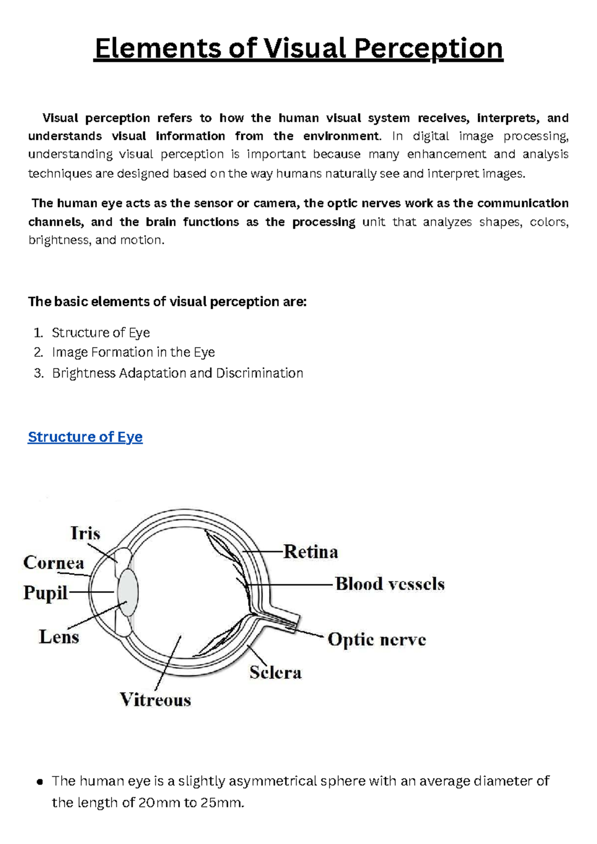 Visual Perception: Understanding the Human Eye and Image Processing ...