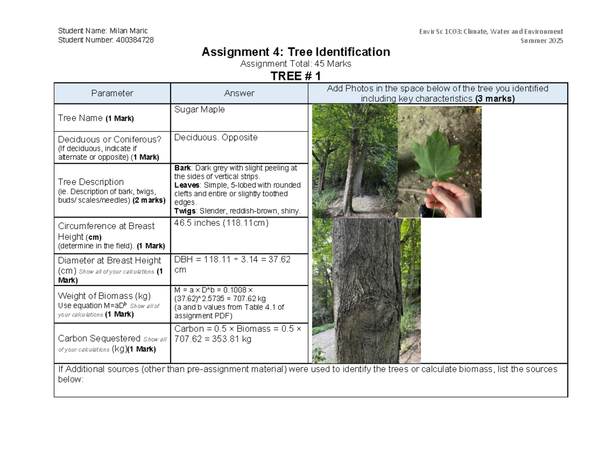 Envir Sc 1C03: Assignment 4 - Tree Identification & Urban Forest ...
