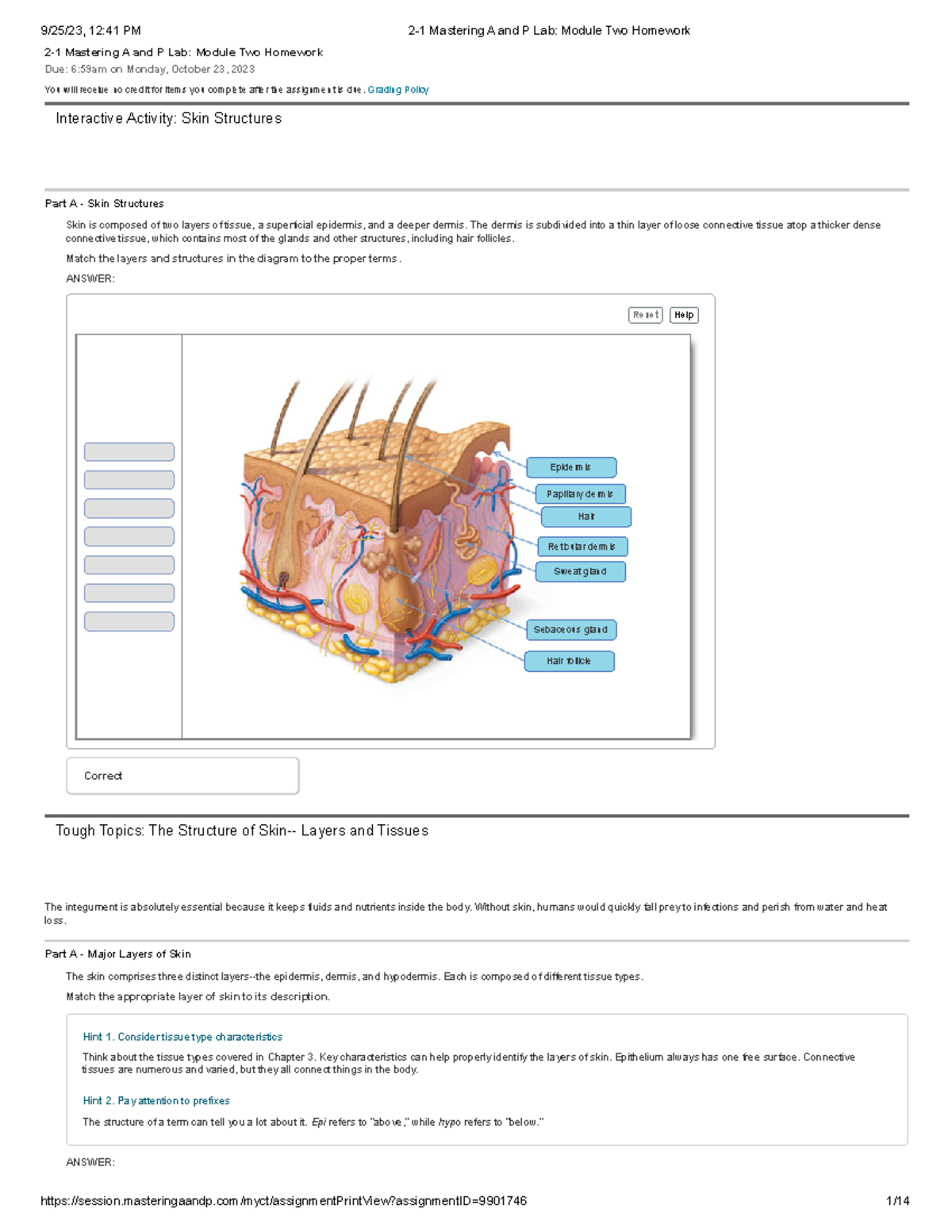 2-1 Mastering A and P Lab Module Two Homework - Grading Policy ...