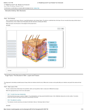 4-2 Mastering A and P Lab Module Four Quiz - 4-2 Mastering A and P Lab: Module Four Quiz Score ...