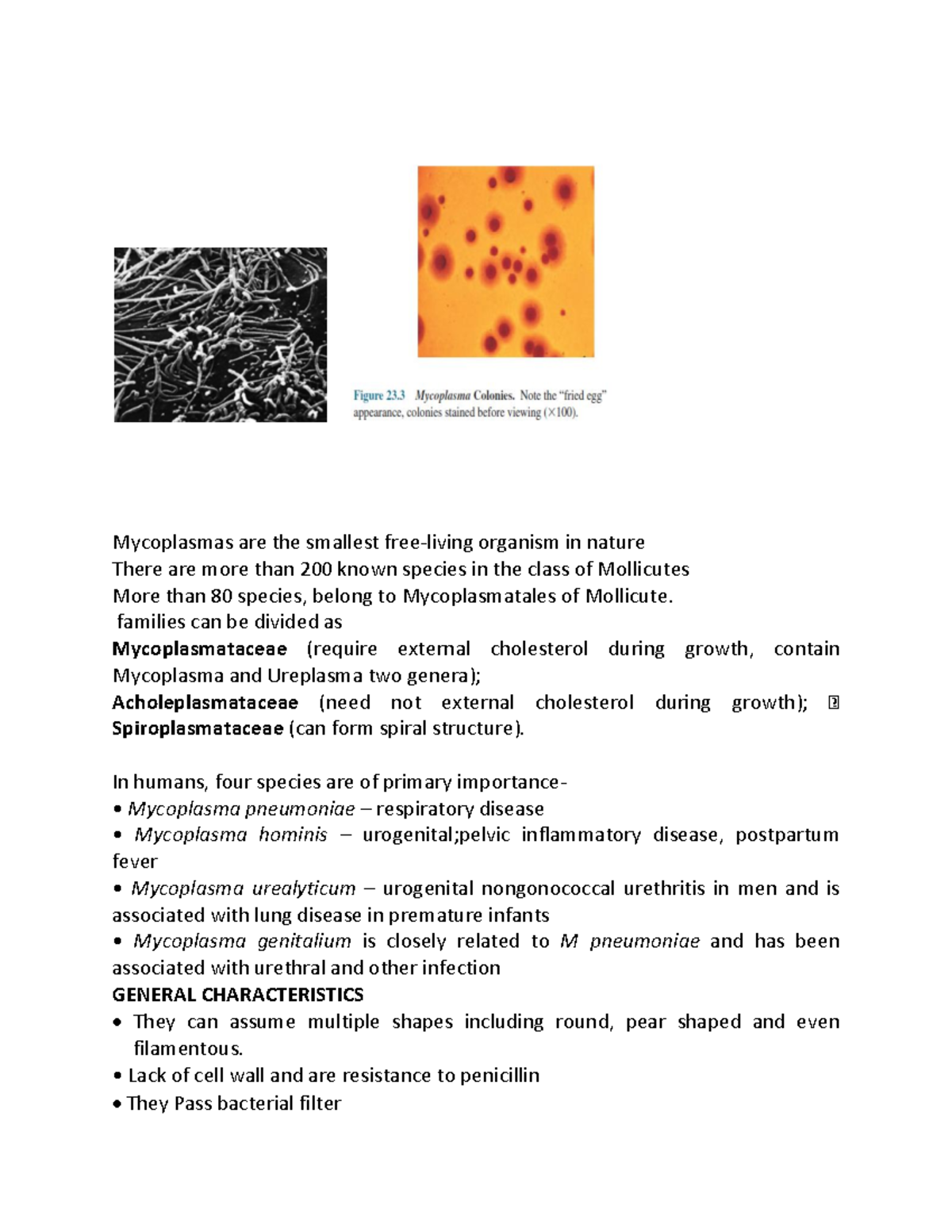 Mycoplasma Lecture Notes: Characteristics and Importance in Humans ...