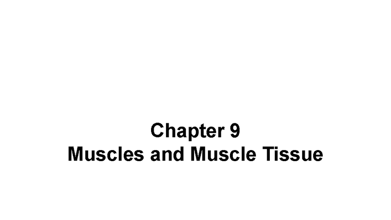 **Chapter 9: Muscles and Muscle Tissue - Structure & Function** - Studocu