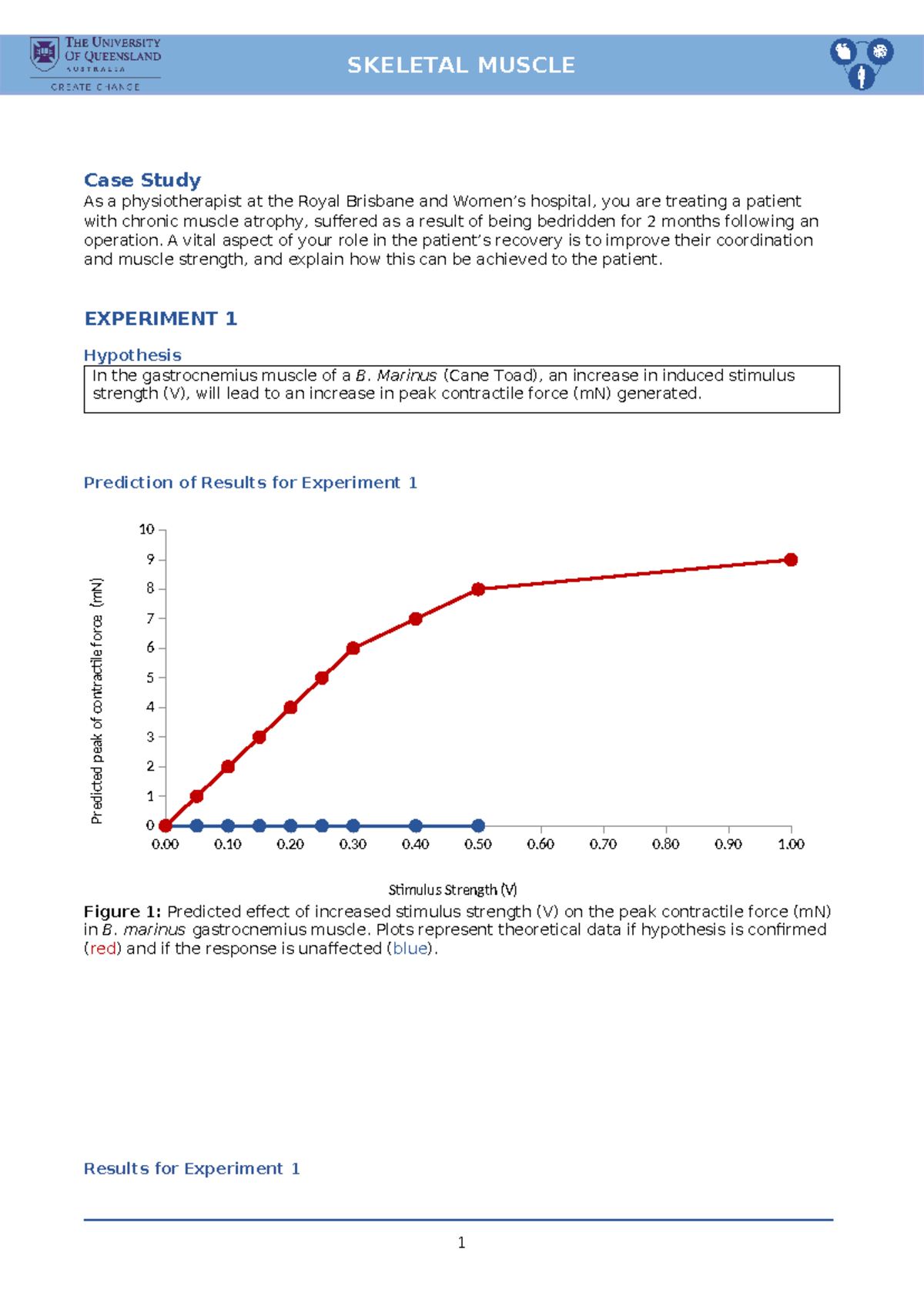 SKELETAL MUSCLE Case Study: Understanding Muscle Atrophy and Recovery ...