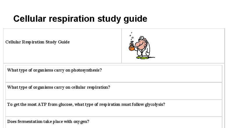 Cellular Respiration Study Guide: Key Concepts and Questions - Studocu