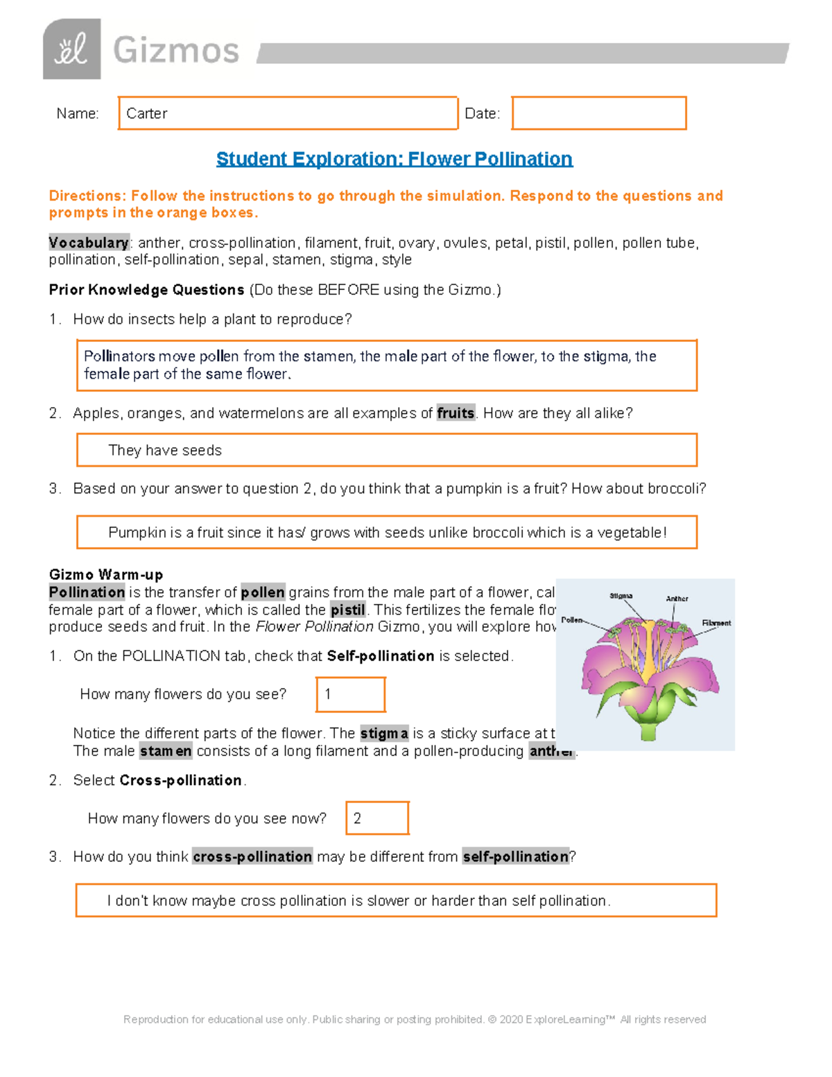 Flower Pollination SE - Name: Carter Date: Student Exploration: Flower ...