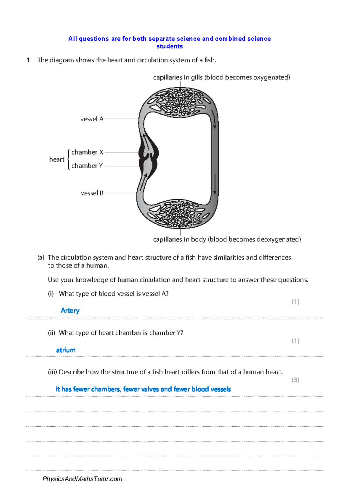 Transport 1 QP - AAAAAA: Heart & Circulatory System of Fish vs. Humans ...