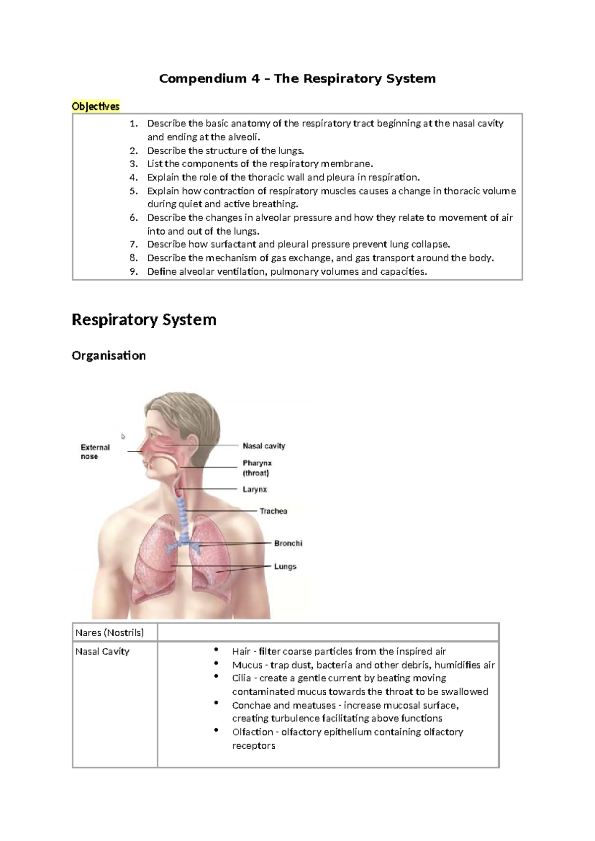 Compendium 4: Respiratory System Study Guide for Etest - Studocu