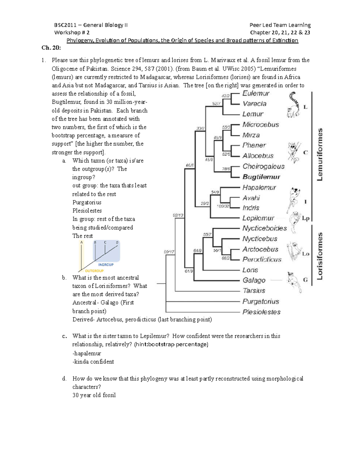 BSC2011 General Biology II Workshop 2: Phylogeny, Evolution, and ...