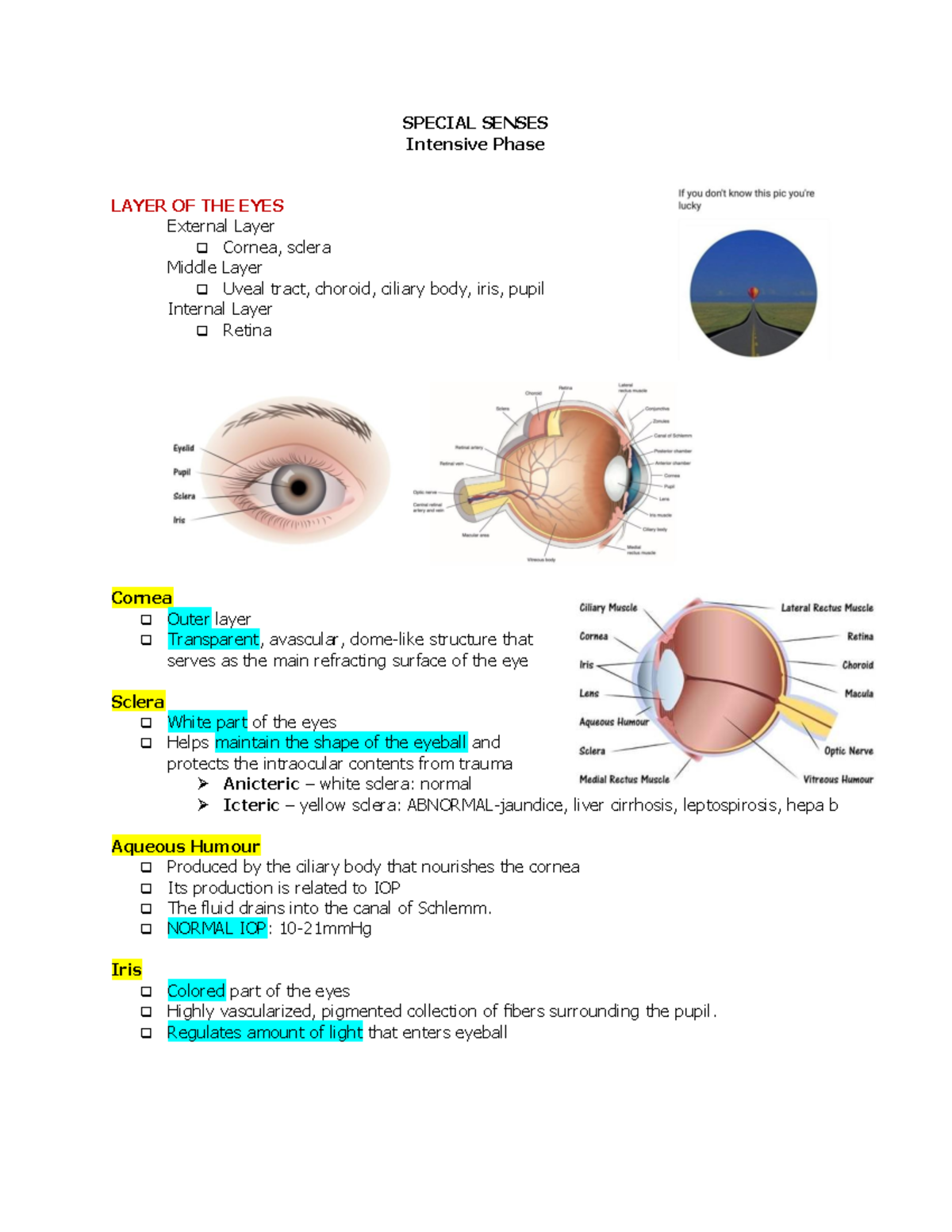 Intensive Special Senses Lecture Notes: Anatomy and Disorders - Studocu