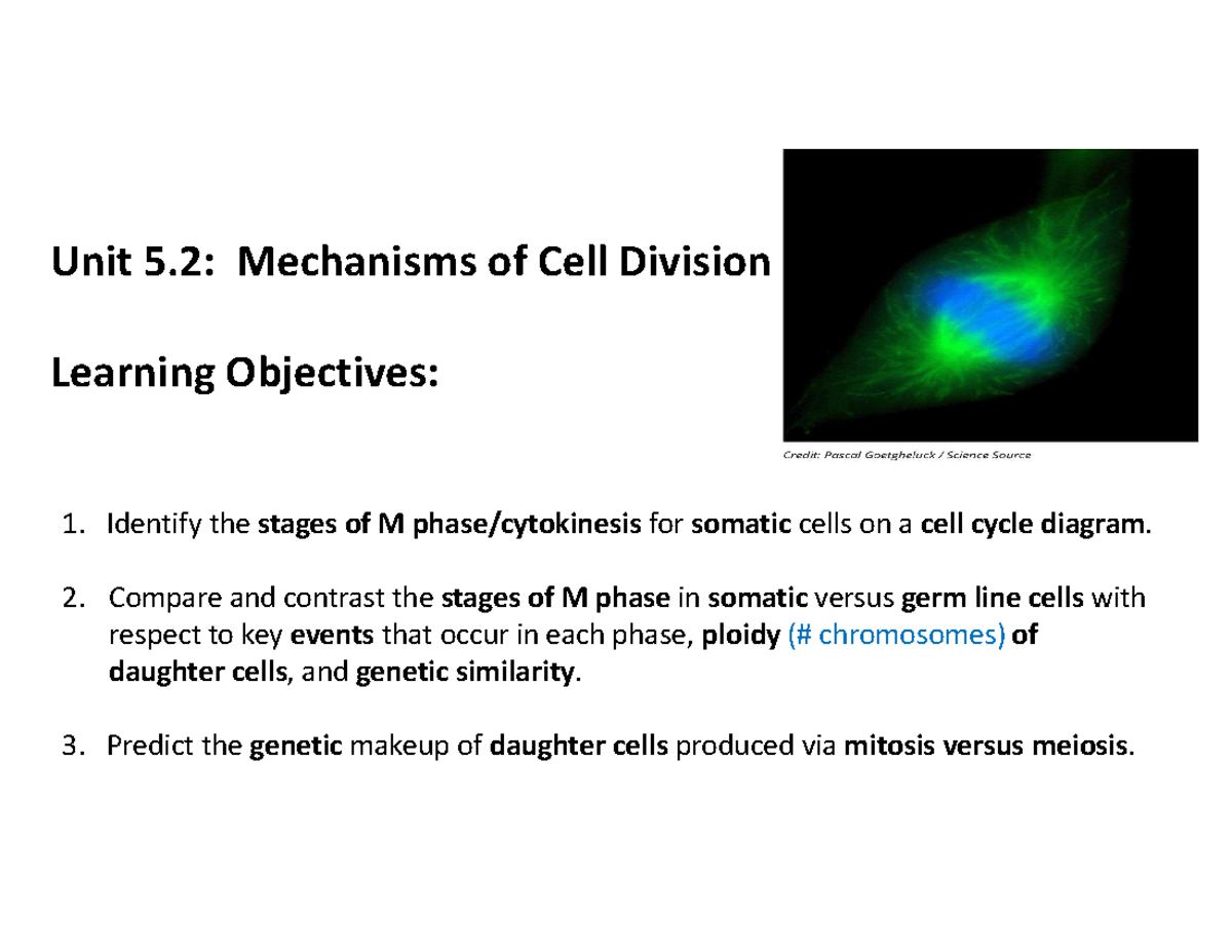 Mitosis and Meiosis Overview - Unit 5.2 Cellular Division Mechanisms ...
