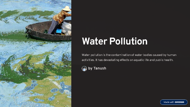 Water Pollution: Causes, Effects, and Prevention Strategies - BBH - Studocu