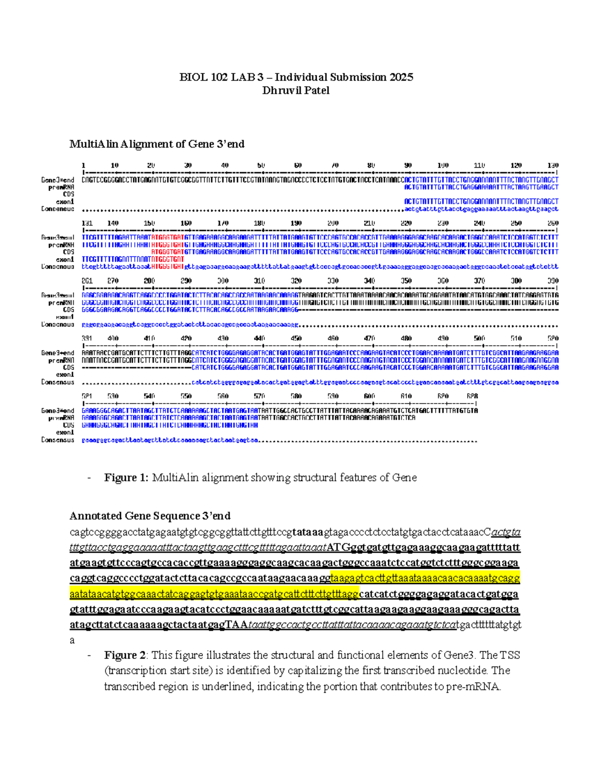 BIOL 102 LAB 3 - MultiAlin Gene Alignment Analysis - Studocu