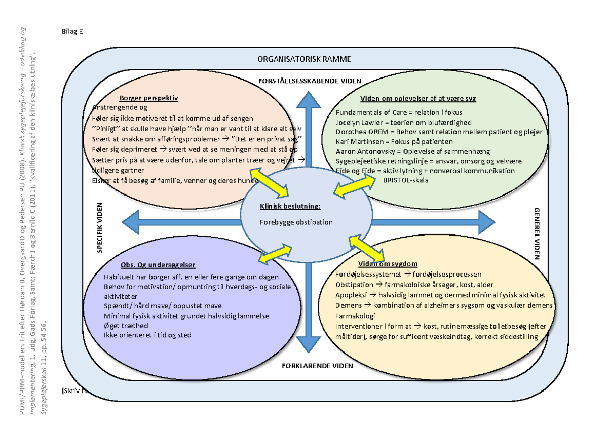 PRM-Model: Udarbejdelse og Implementering af Plejeplaner - Studocu