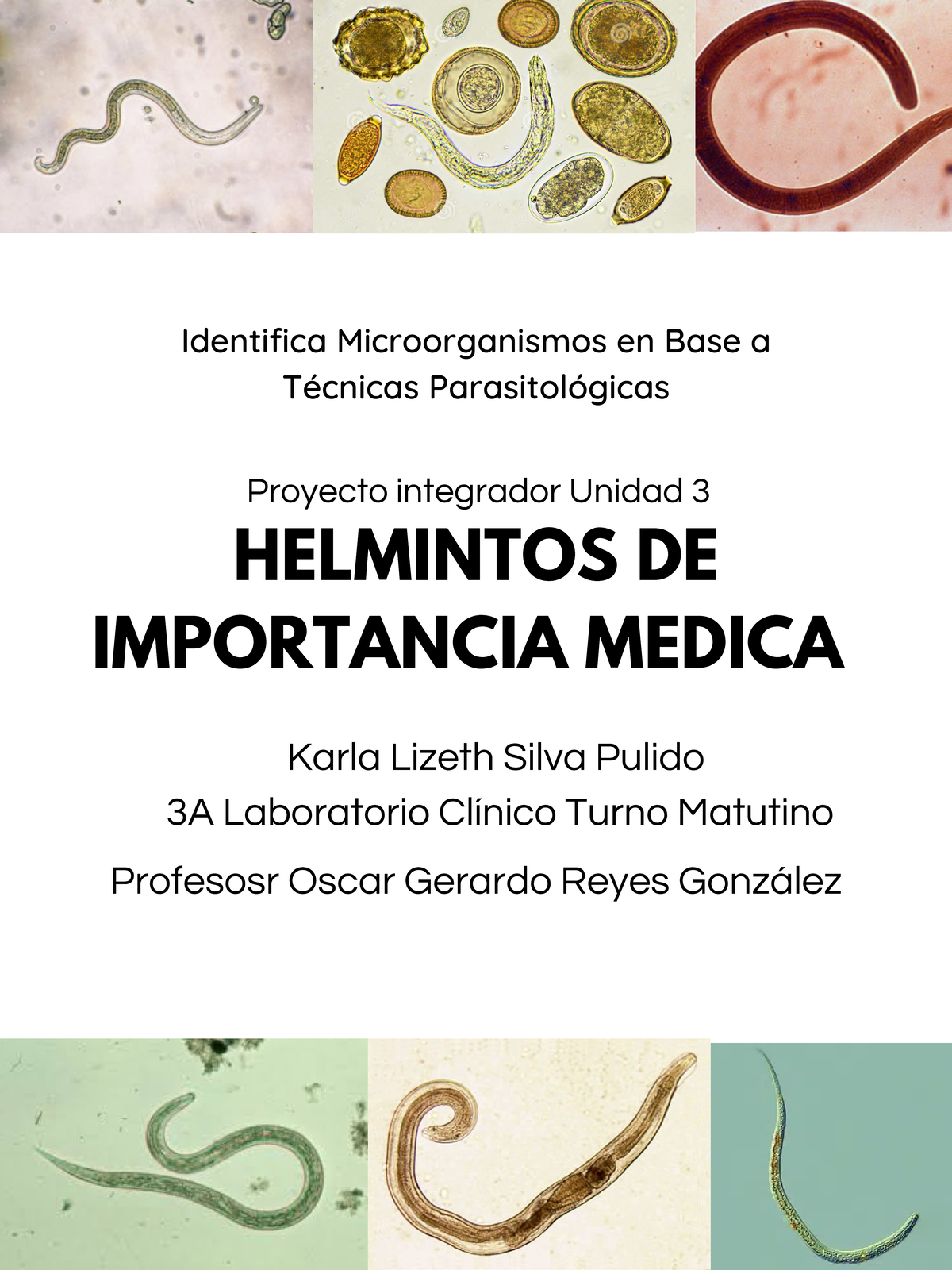 Atlas de helmintos - HELMINTOS DE IMPORTANCIA MEDICA Karla Lizeth Silva ...