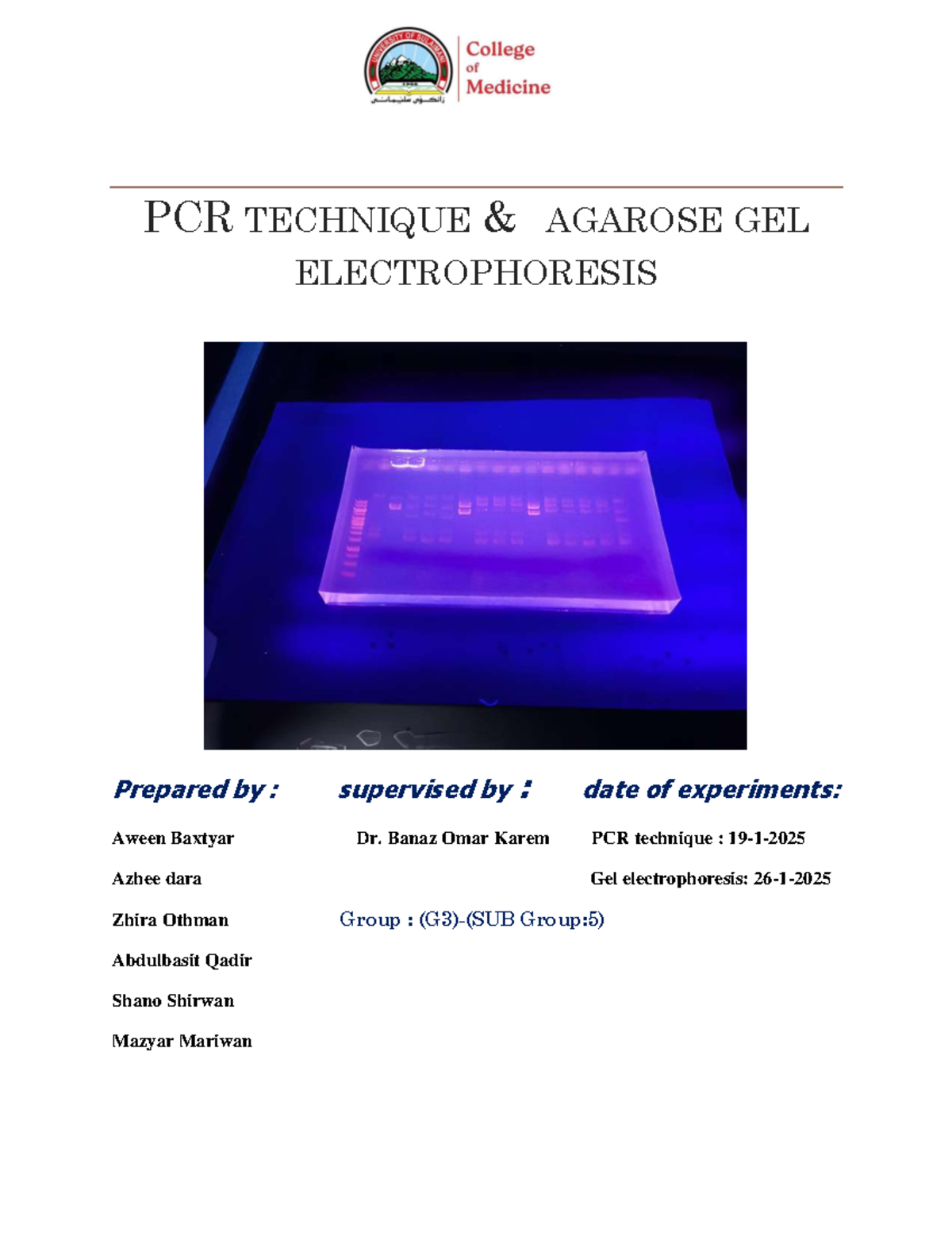 PCR technique 2: Agarose gel electrophoresis lab report - Studocu