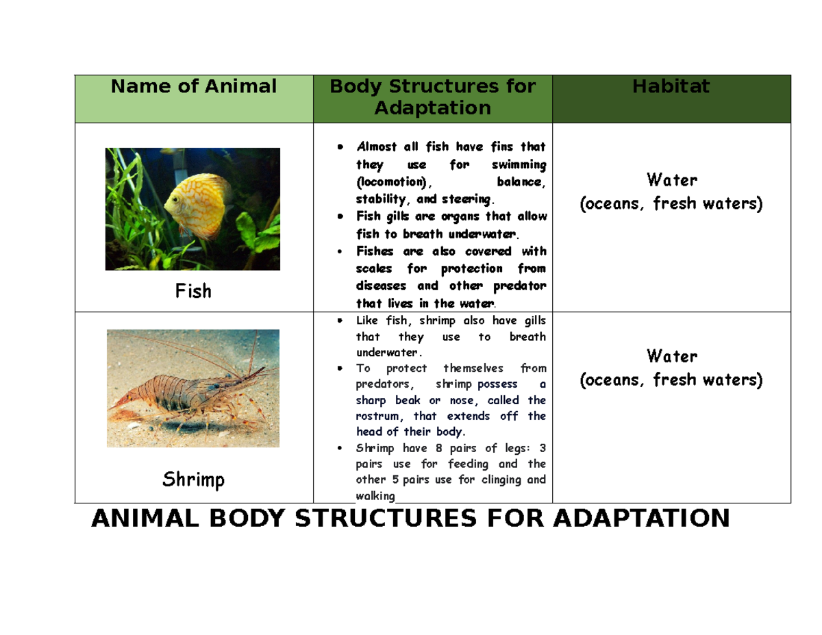 Annika's Science Project - Name of Animal Body Structures for ...
