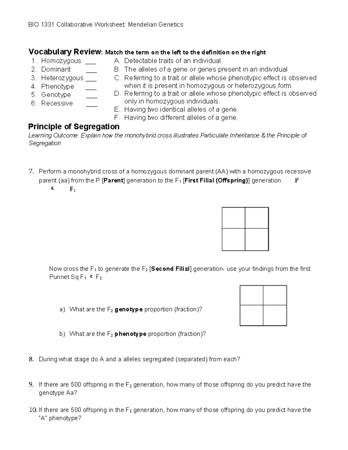 BIO 1331 In Class 3 Mendel - BIO 1331 Collaborative Worksheet ...