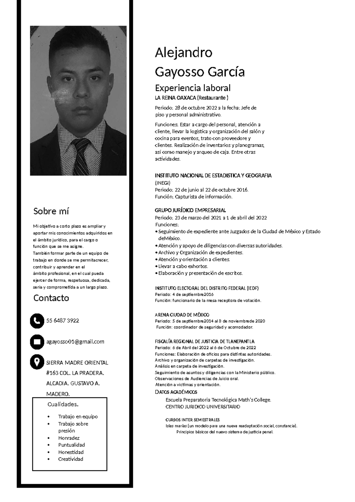 Currículum Vitae de Alejandro Gayosso García - Experiencia Laboral ...