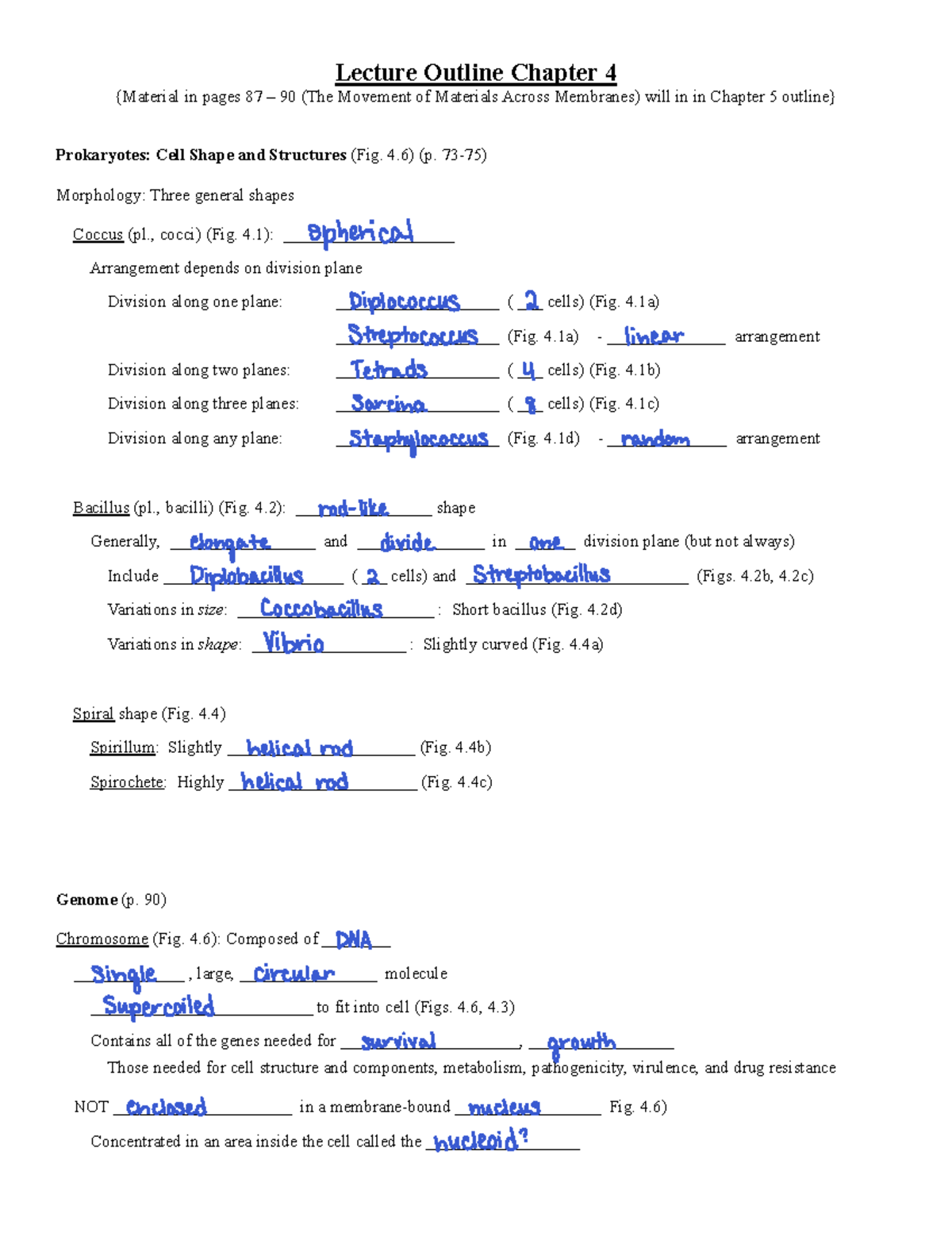 Lecture Outline Prokaryotic Cell Structure And Functions Biol 101 Lecture Outline Chapter 4