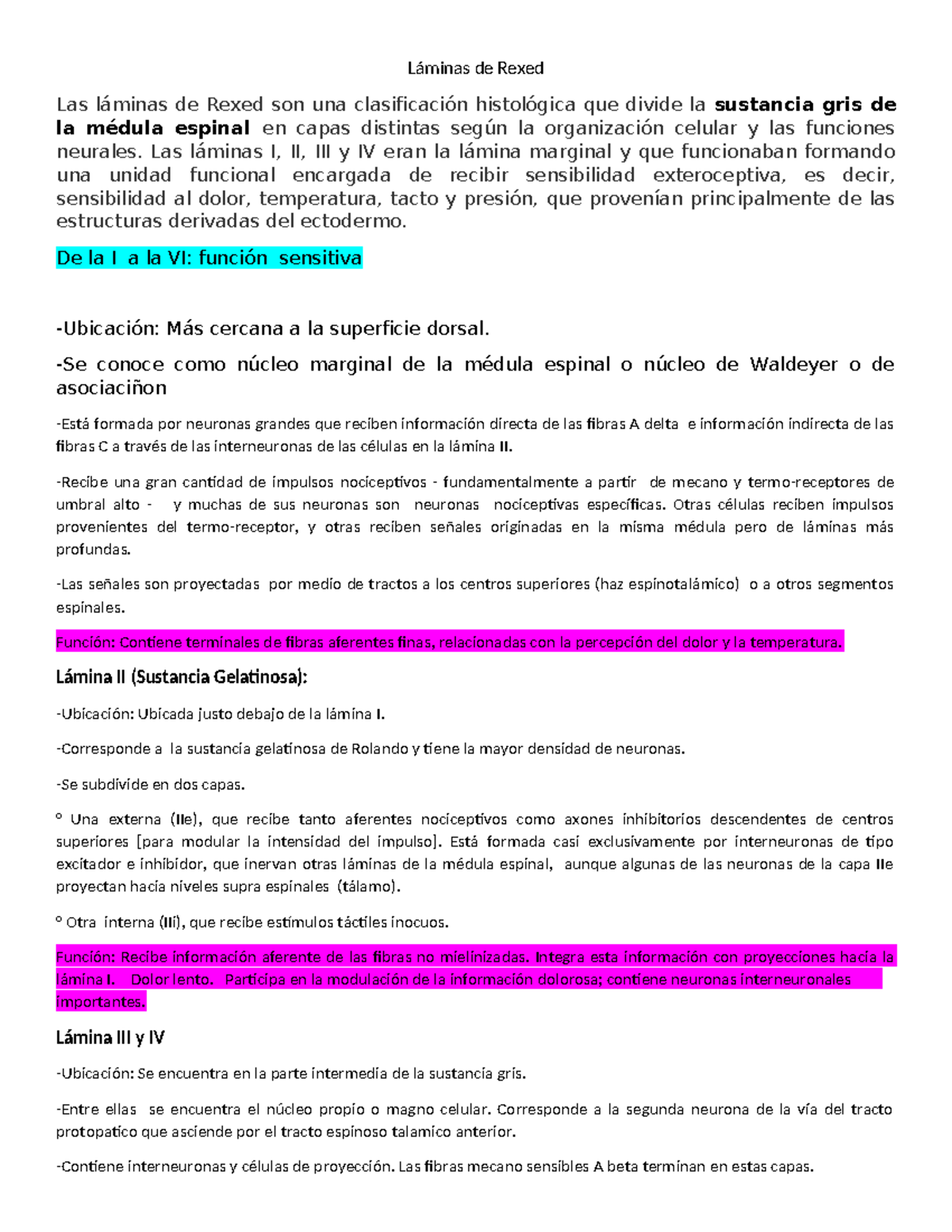 Láminas de Rexed: Clasificación Histológica de la Médula Espinal - Studocu