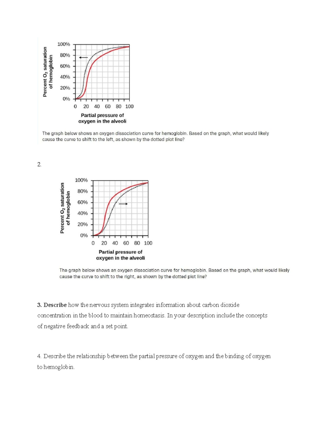 Respiration Practice Questions and Concepts (Bio 2.3) - Studocu