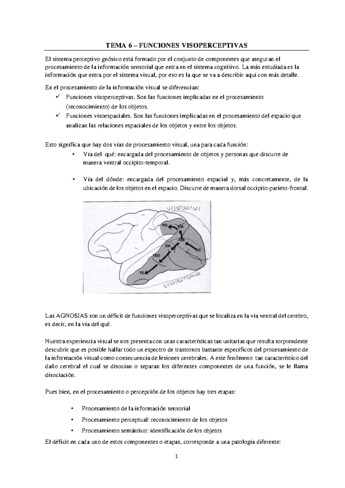 Tema 6a - Gnosias - mmmmmmmmm - TEMA 6 – FUNCIONES VISOPERCEPTIVAS El ...