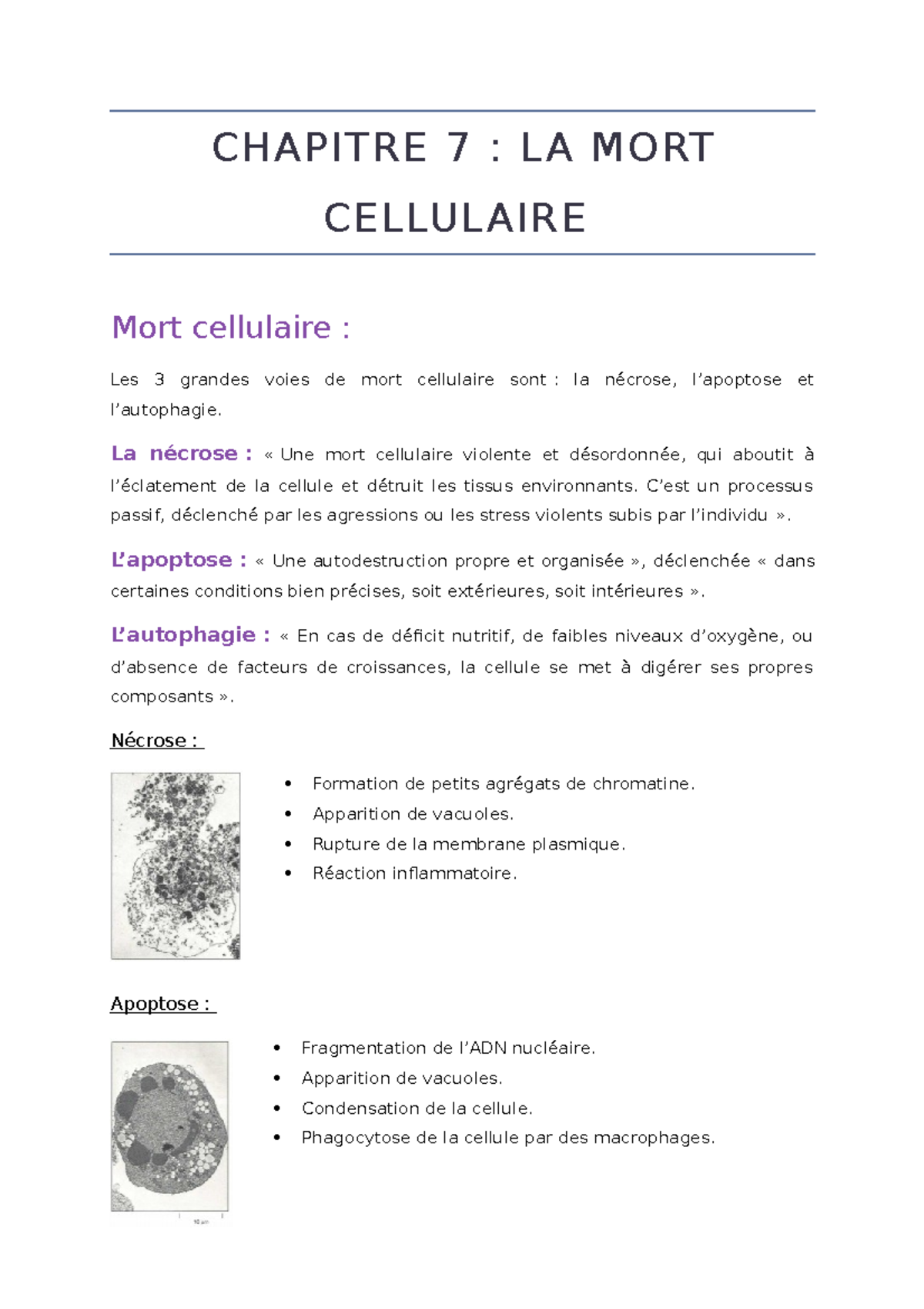 Chapitre 7 : Vu de la Mort Cellulaire - Nécrose, Apoptose & Autophagie ...