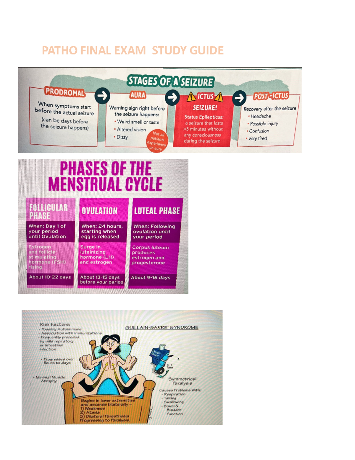 Patho Final EXAM Study Guide - PATHO FINAL EXAM STUDY GUIDE Cystic Fibrosis Diagnosis & - Studocu