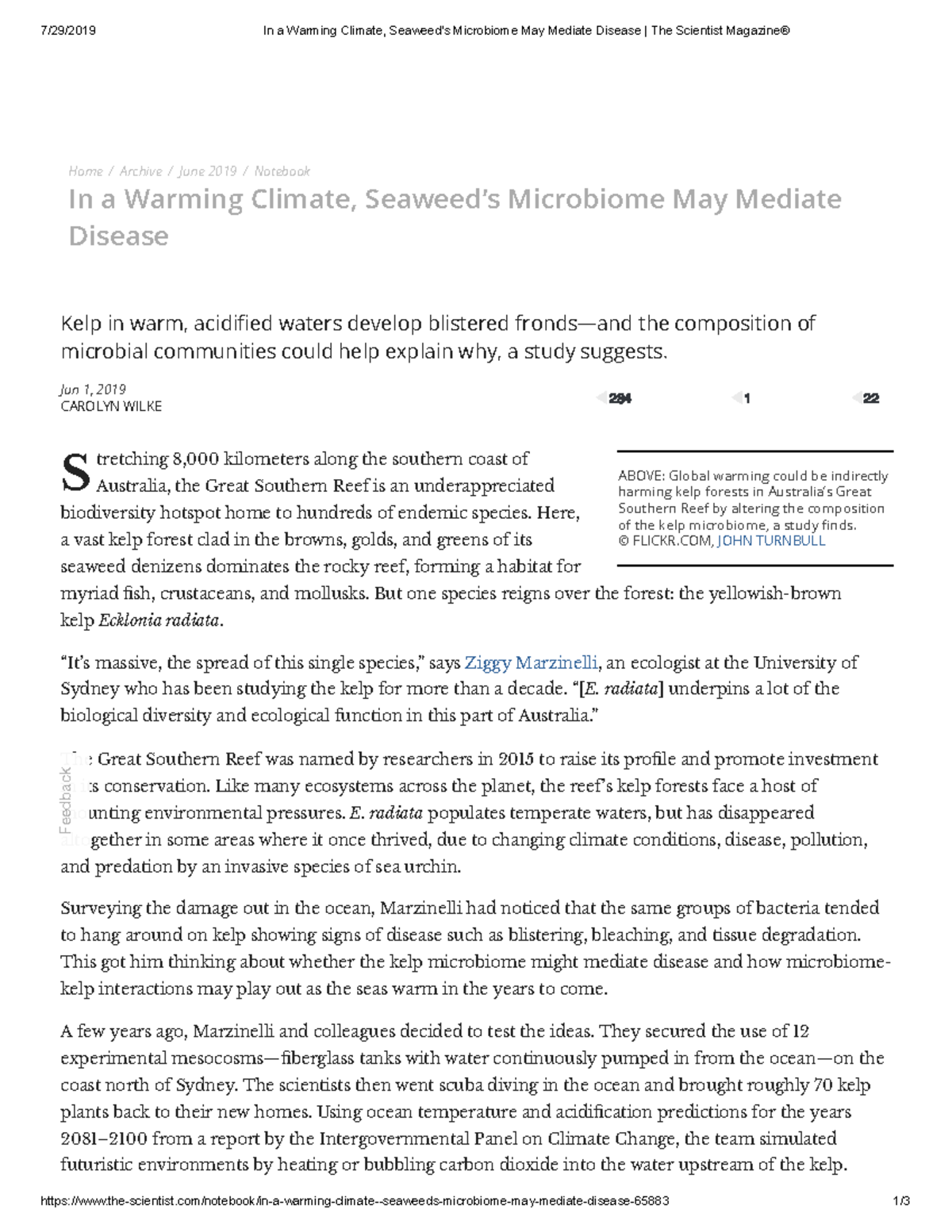 2019 0601 The Scientist M In a Warming Climate, Seaweed's Microbiome ...