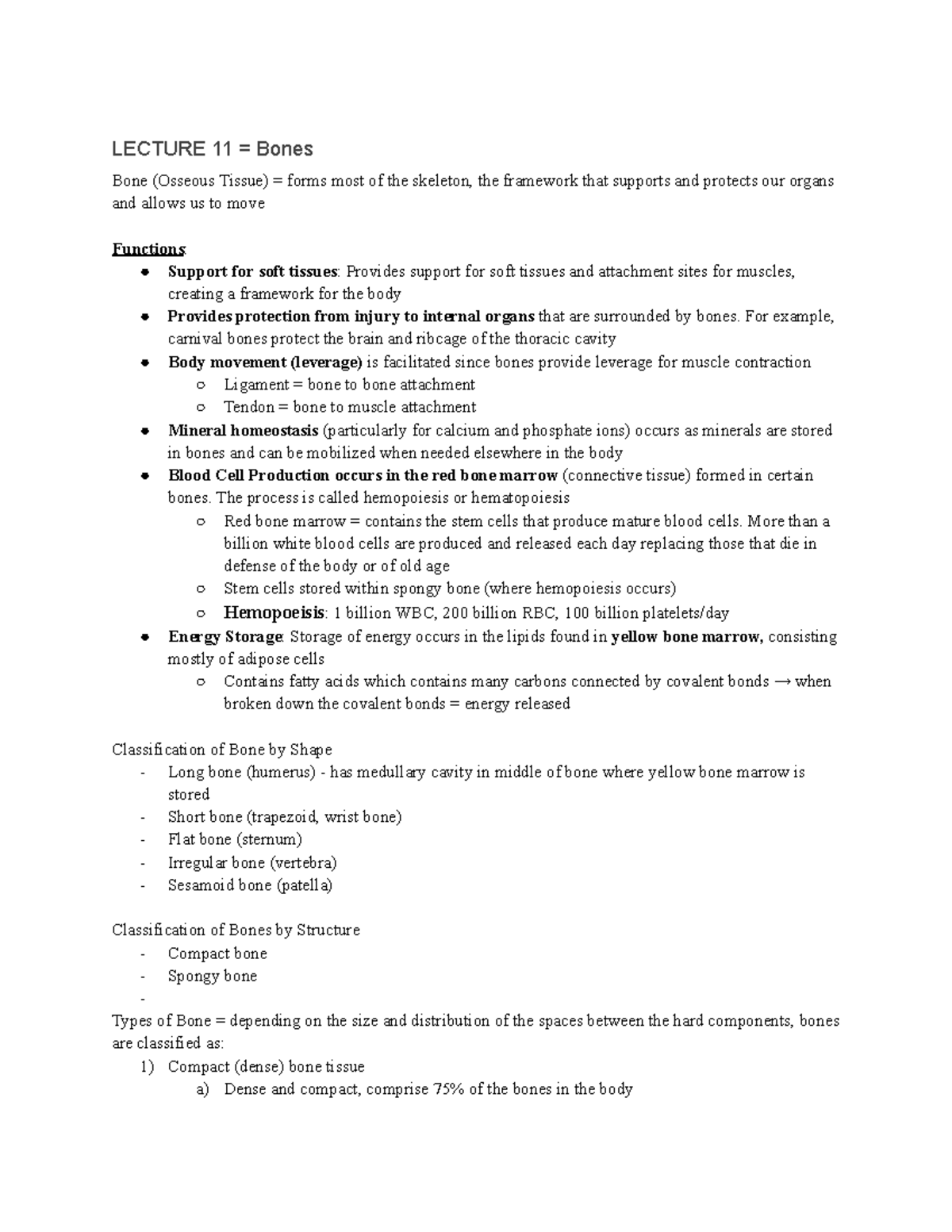 AP1 Exam 3 Lecture Notes: Overview of Bone Structure and Function - Studocu