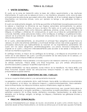 Regiones profundas de la Cara - 1) Fosa cigomática Es el espacio ...