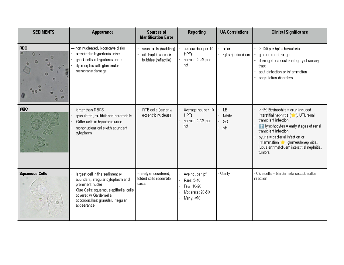 Urine Sediments Summary - Identification Error RBC — non nucleated ...