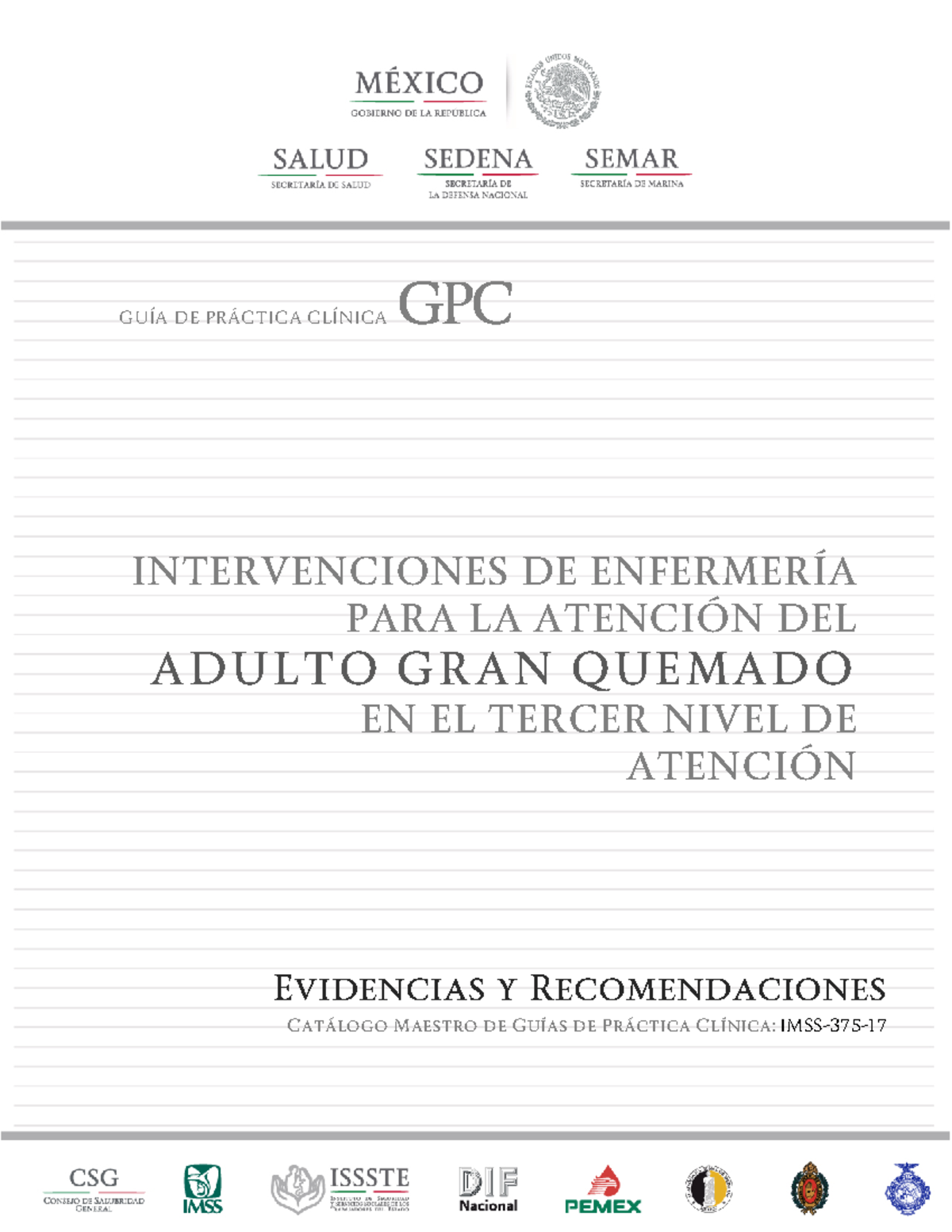 Gran quemado - Yhhhhh - GUÍA DE PRÁCTICA CLÍNICA GPC INTERVENCIONES DE ...