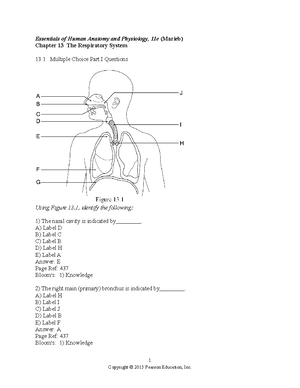 D5NM - Description Dextrose 5% in Normosol M Solution (D5NM) is a ...