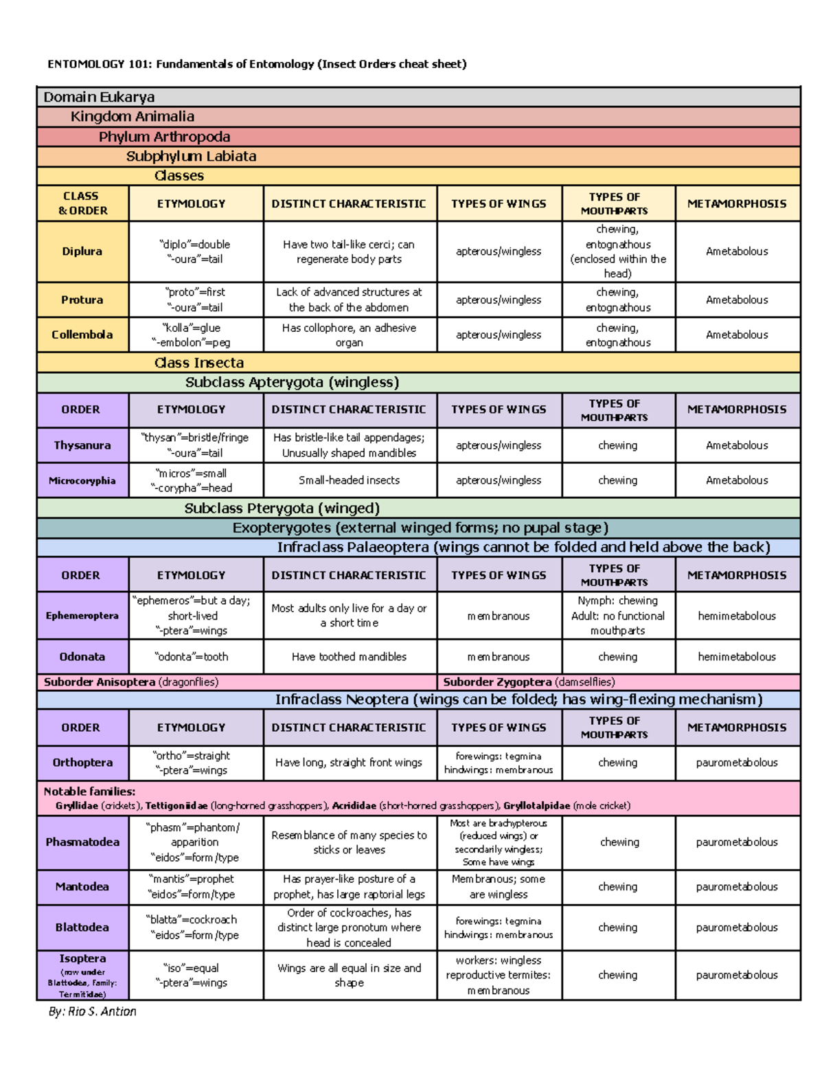 ENT 101: Insect Orders Overview and Key Characteristics Cheat Sheet ...