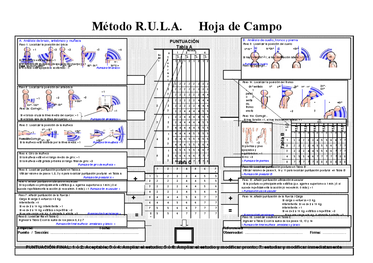 S14.s1 - R.U.L.A. Field Worksheet and Scoring Guide - Studocu