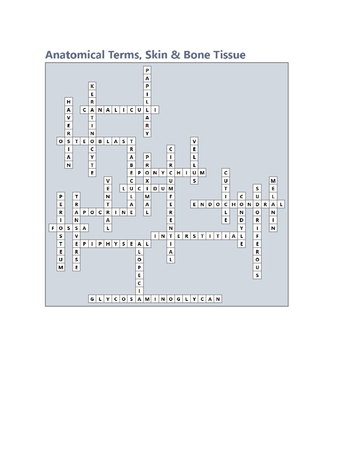 CROSSWORD PUZZLE 1 - ANP1106 - Anatomical Terms, Skin & Bone Tissue P A ...