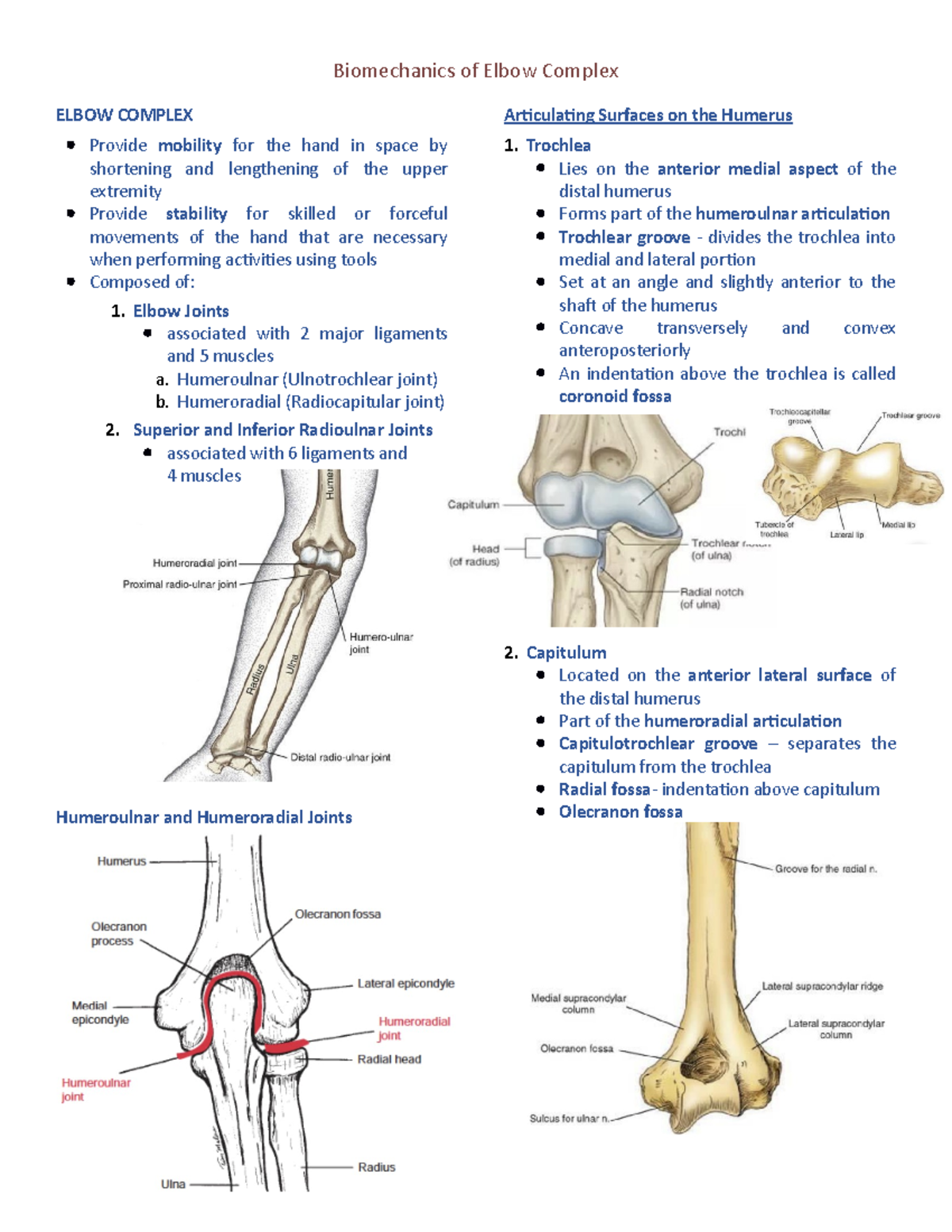 Biomechanics of elbow complex - ELBOW COMPLEX Provide mobility for the ...