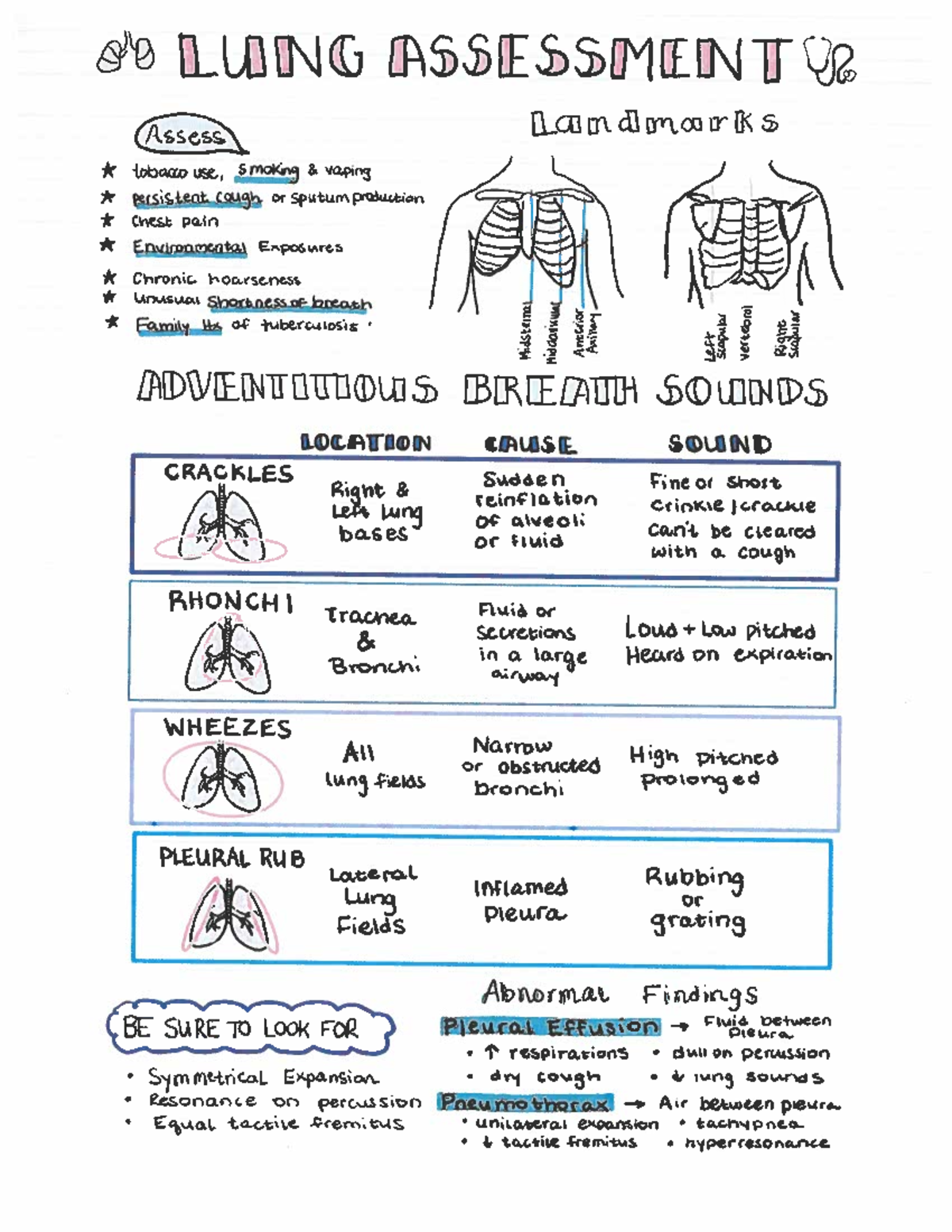 Final Exam Study Guide: Lung Assessment in ABC101 - Studocu