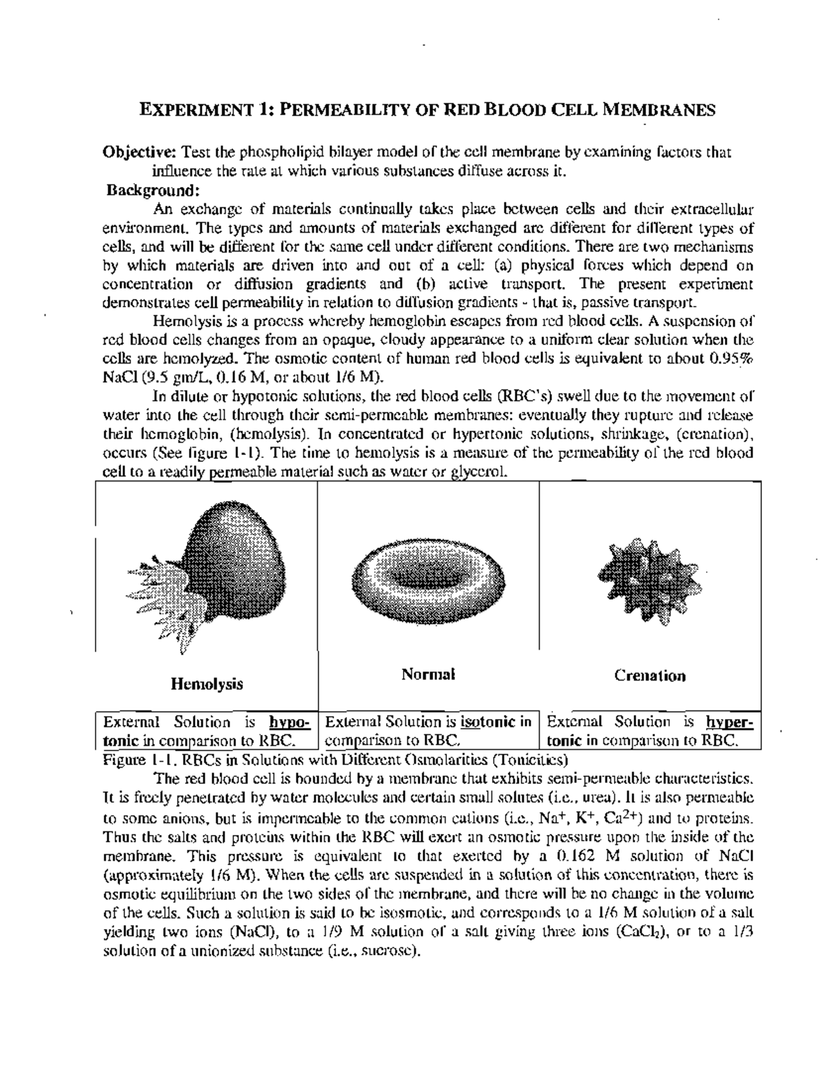 Experiment 1: Hemolysis and Permeability of RBC Membranes - Studocu