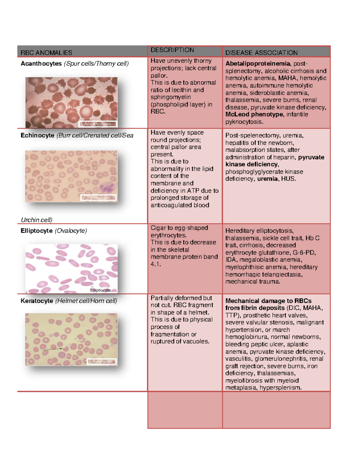 RBC and WBC Anomalies Overview - Rodak's Hematology Notes - Studocu