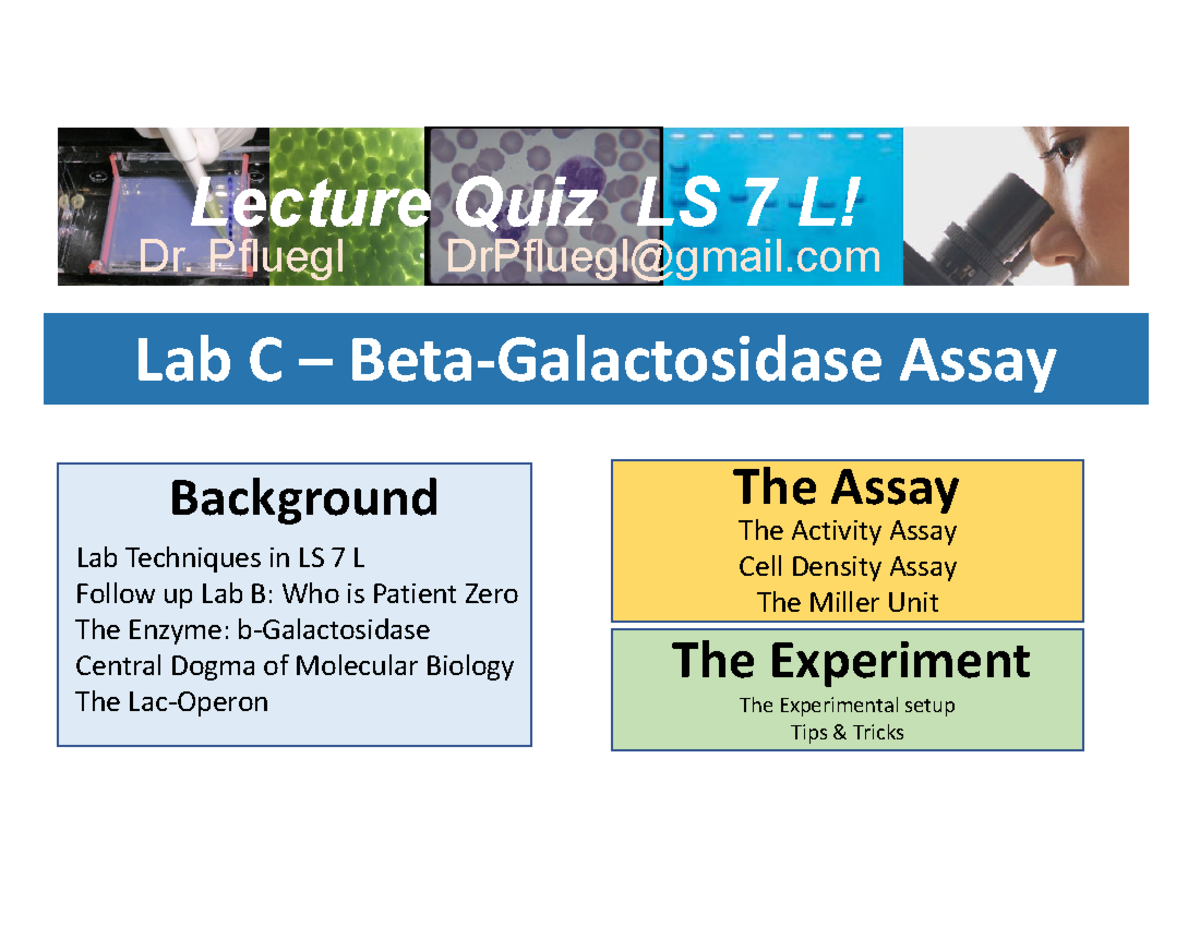 Lab C Beta Gal POST - lab C summary og lab - Lab Techniques in LS 7 L ...